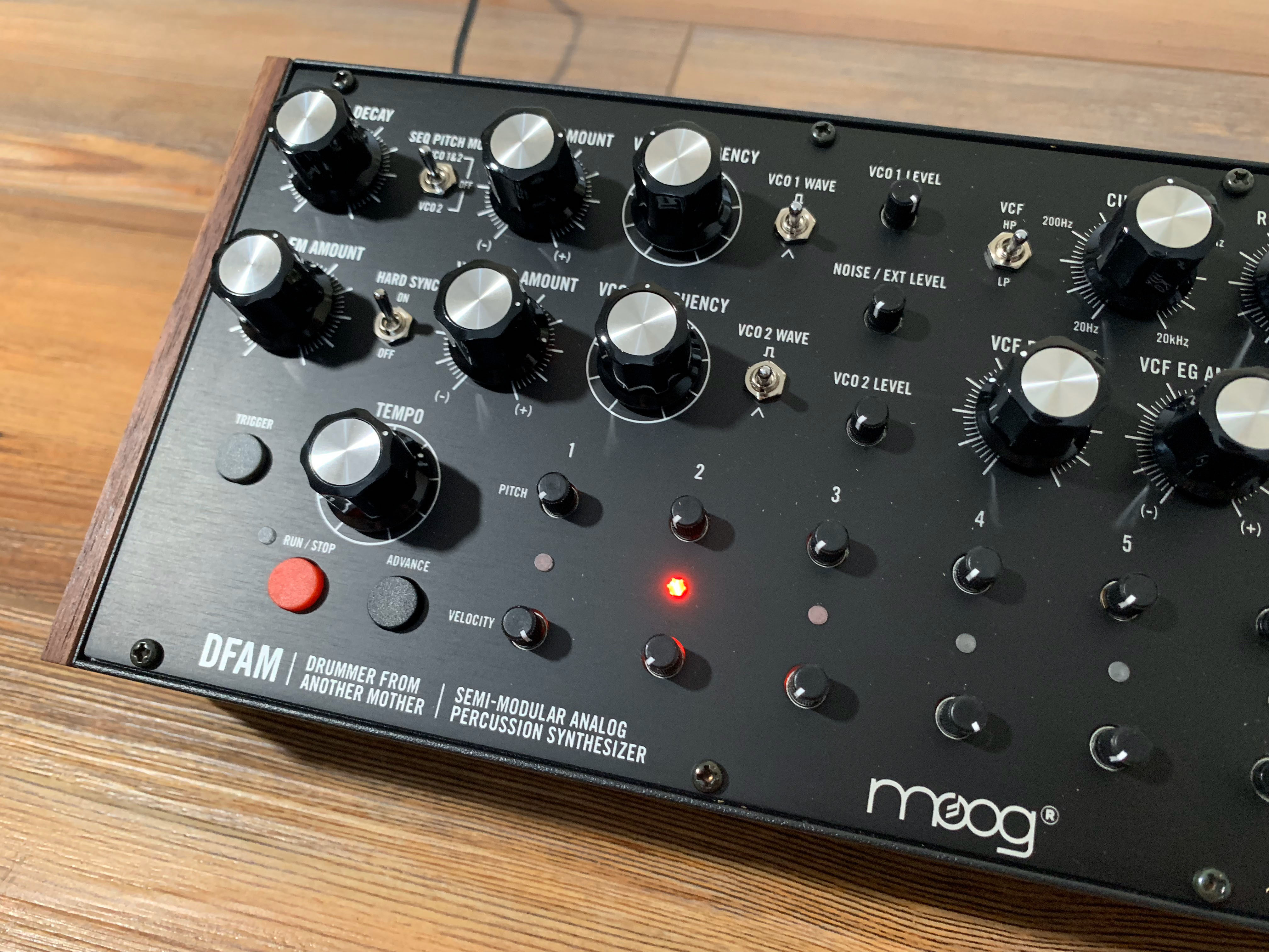 Moog DFAM photo gallery - Syntaur