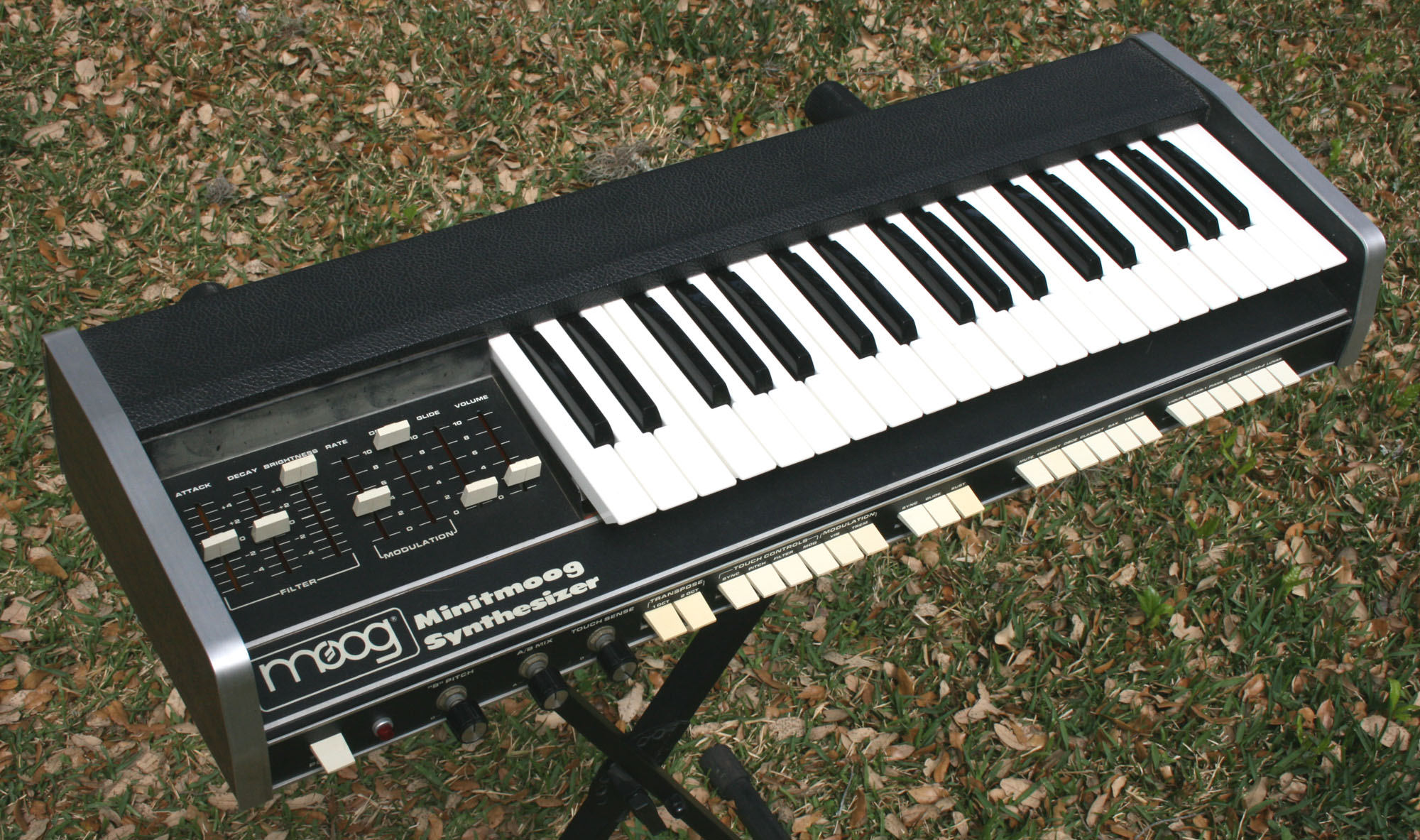 Moog Minitmoog photo gallery - Syntaur