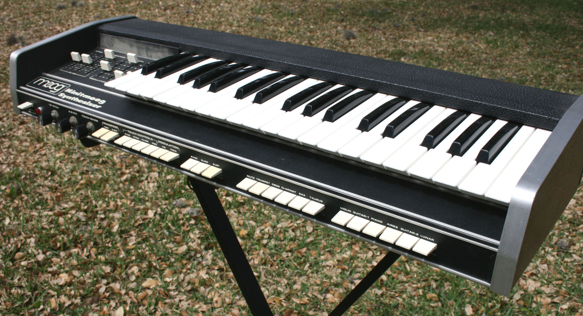 Moog Minitmoog photo gallery - Syntaur